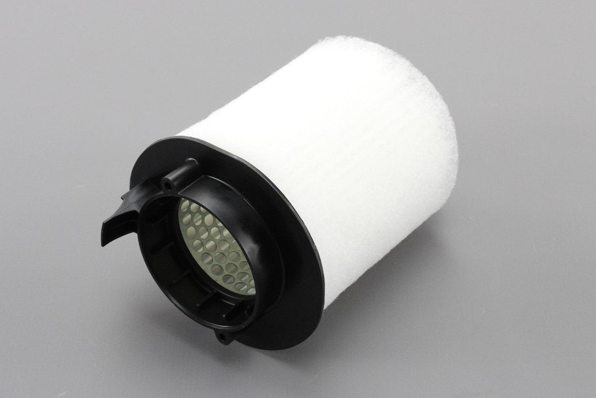 Audi R8 2007-2015 V8 4.2 litre air filter element x1 420133843B ...